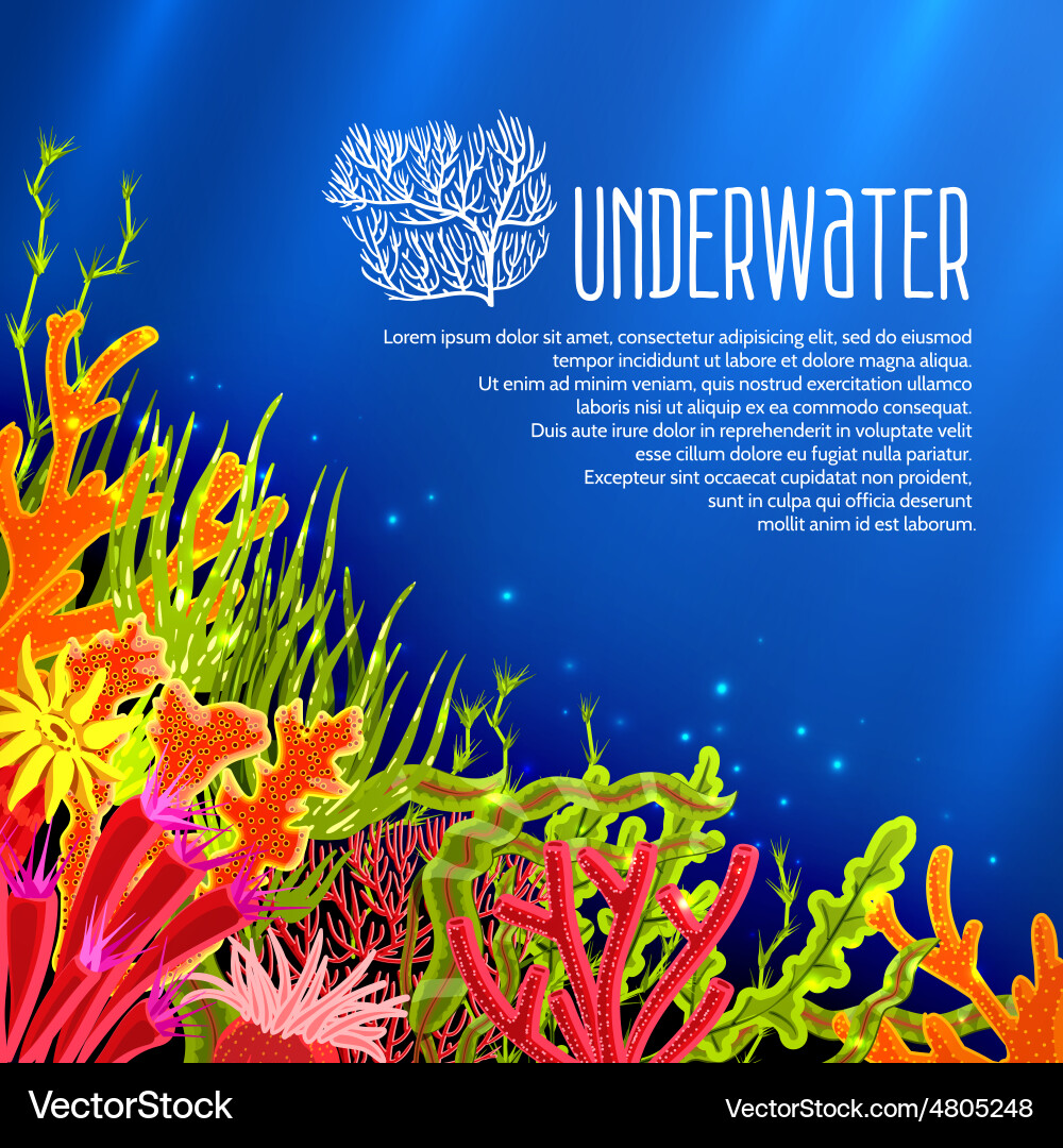 Vibrant Coral Reef Poster Royalty Free Vector Image