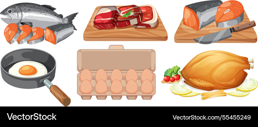 Various meats fish and eggs Royalty Free Vector Image