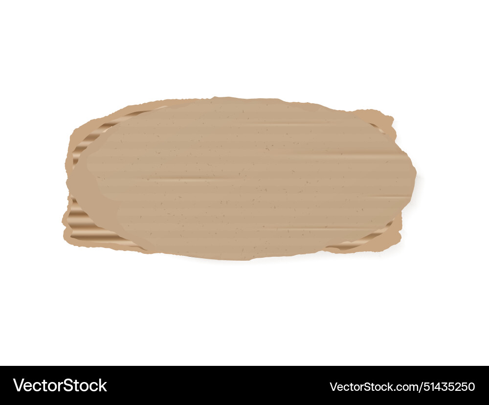Realistic piece of torn cardboard ripped Vector Image