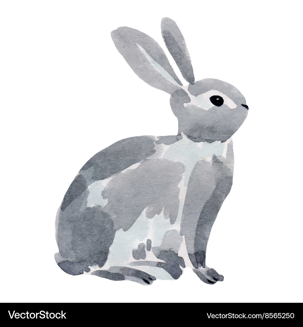 Watercolor of a rabbit Royalty Free Vector Image