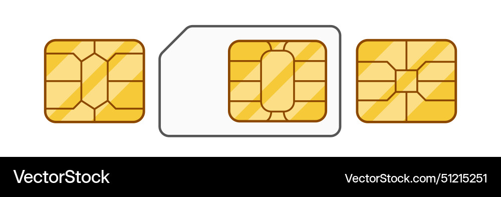 Three sim cards in standard micro and nano sizes Vector Image