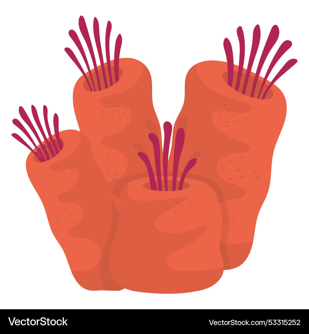 Sea coral Royalty Free Vector Image - VectorStock