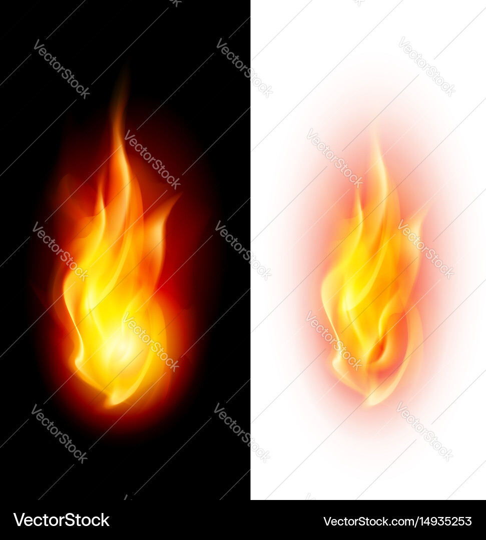 Two fire flames on contrast black and white Vector Image
