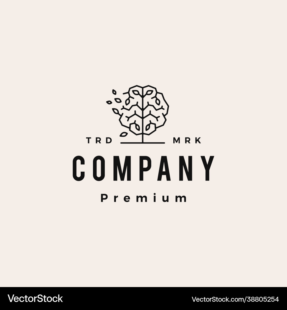 Brain tree branch leaf idea think smart natural Vector Image