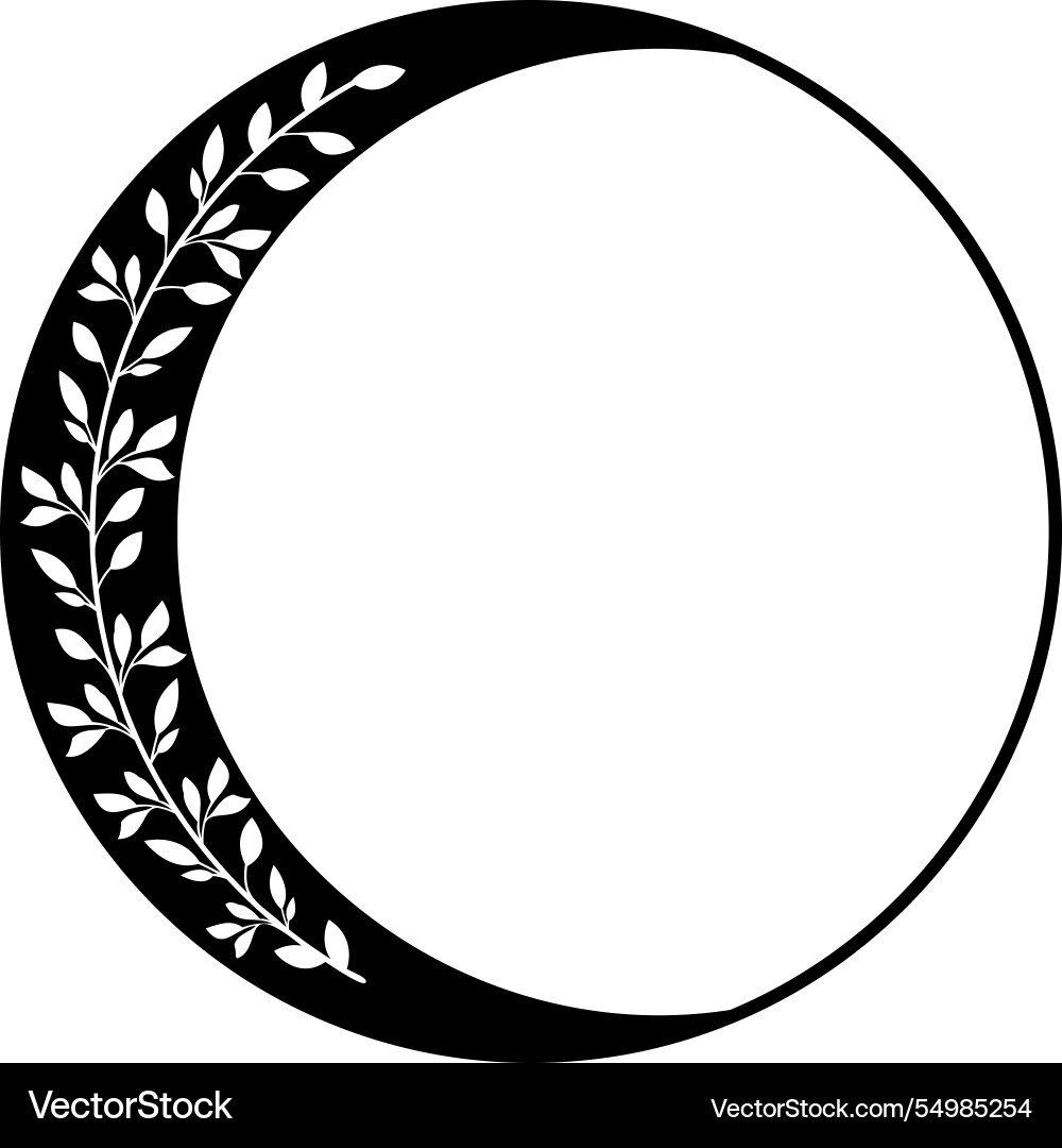 Elegant crescent moon with leaves aesthetic Vector Image