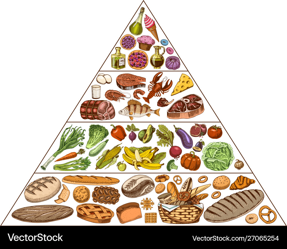 Healthy Food Pyramid Infographic Royalty Free Vector Image