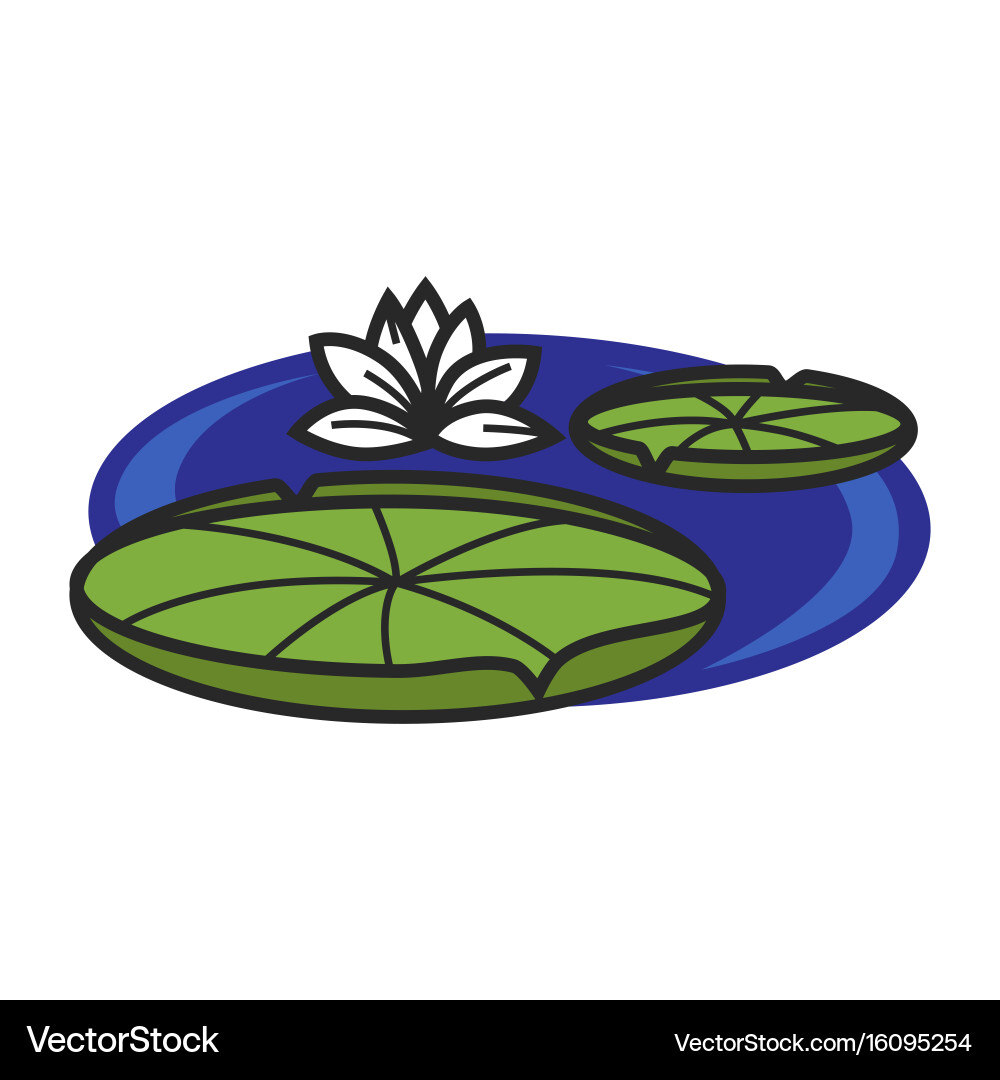 Pond with water lily Royalty Free Vector Image