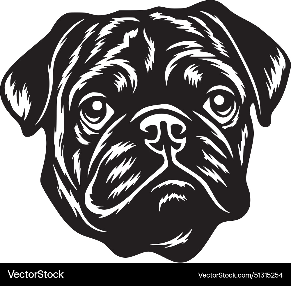 Pug - black and white Royalty Free Vector Image