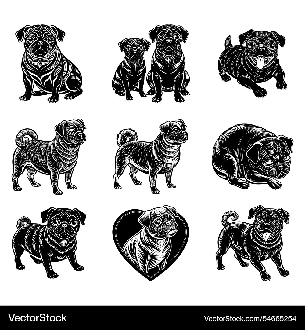 Pug dog Royalty Free Vector Image - VectorStock