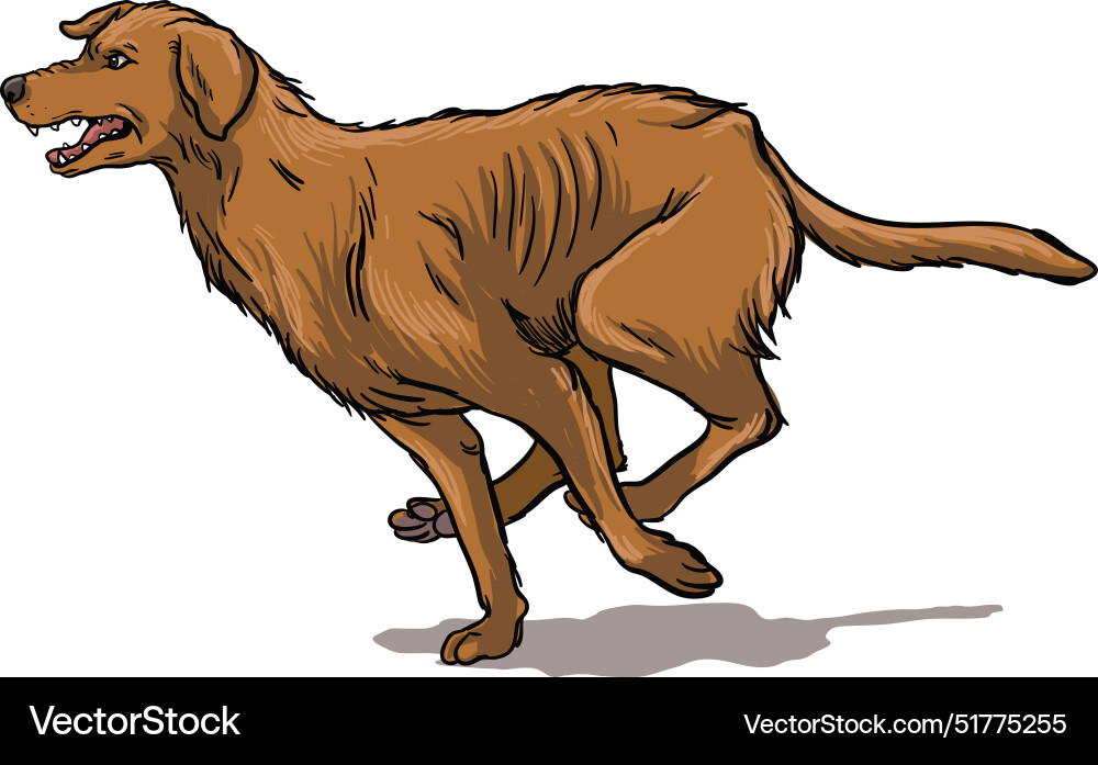 Aggressive dog running Royalty Free Vector Image