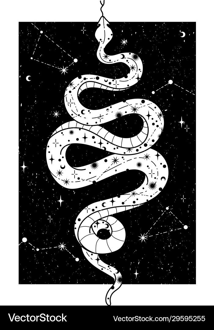 Occult Snake & Stars Royalty Free Vector Image
