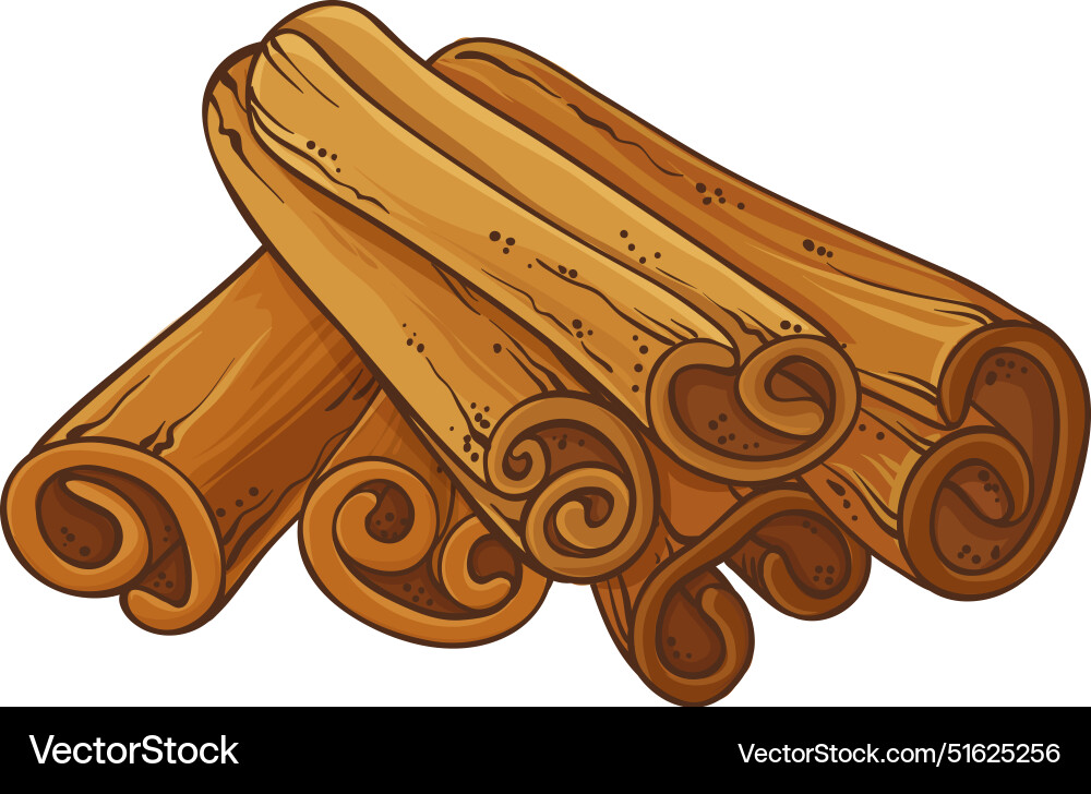 Cinnamon sticks colored detailed Royalty Free Vector Image