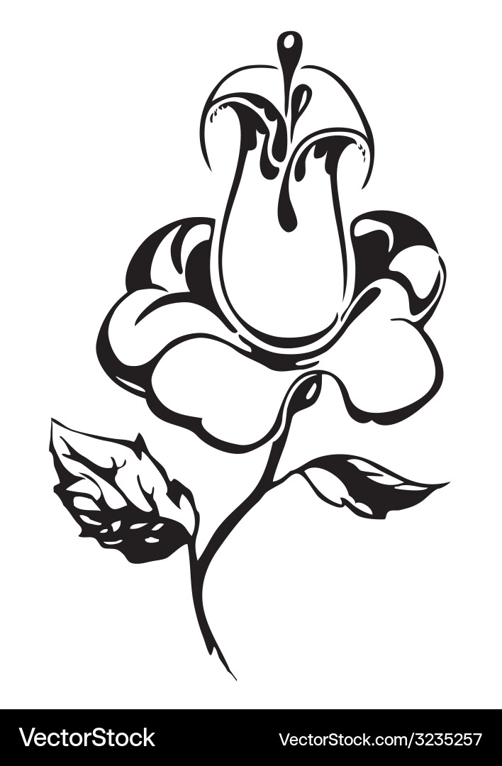 Flower drawing Royalty Free Vector Image - VectorStock