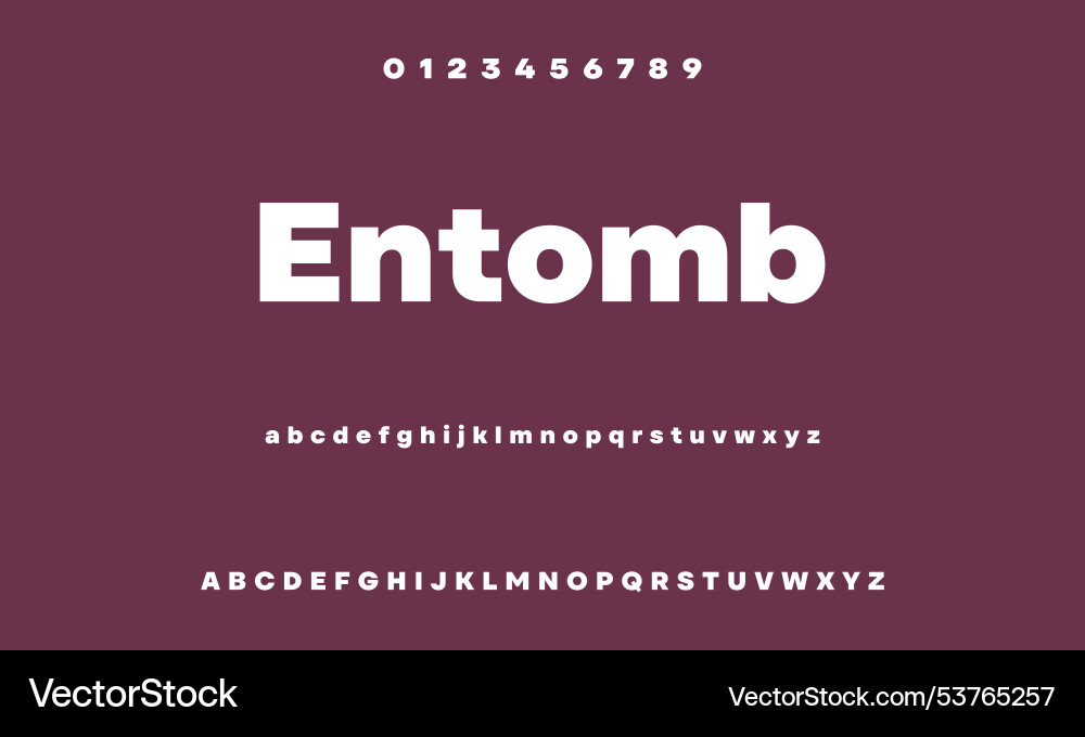 Modern bold font sans serif regular italic Vector Image