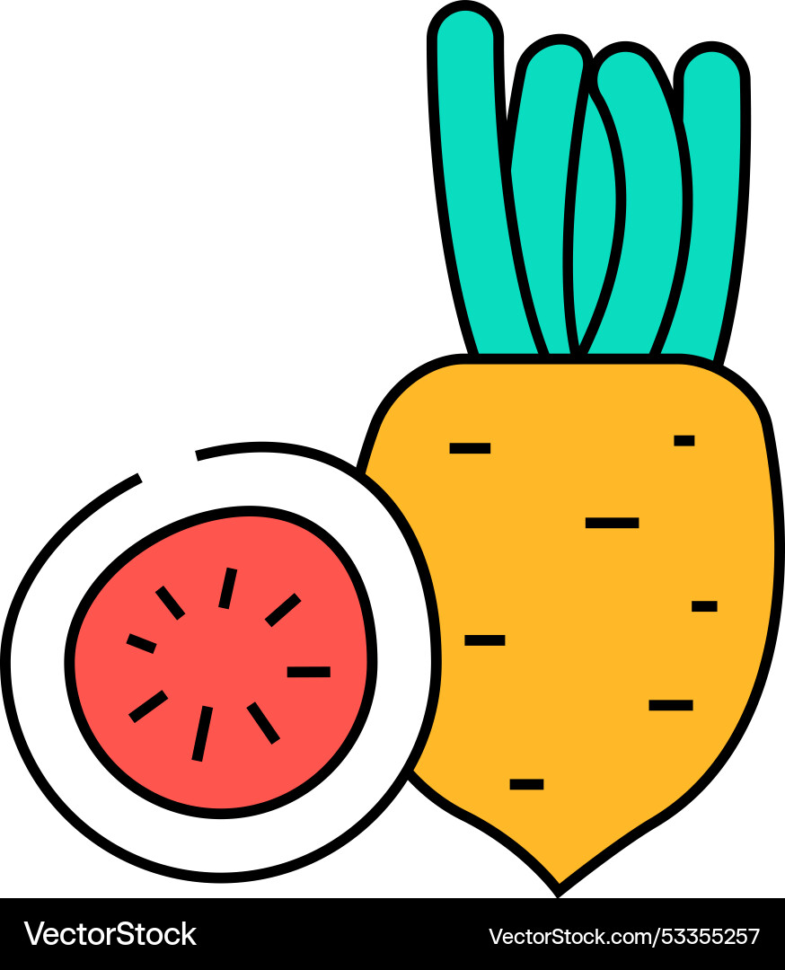 Watermelon radish icon color Royalty Free Vector Image