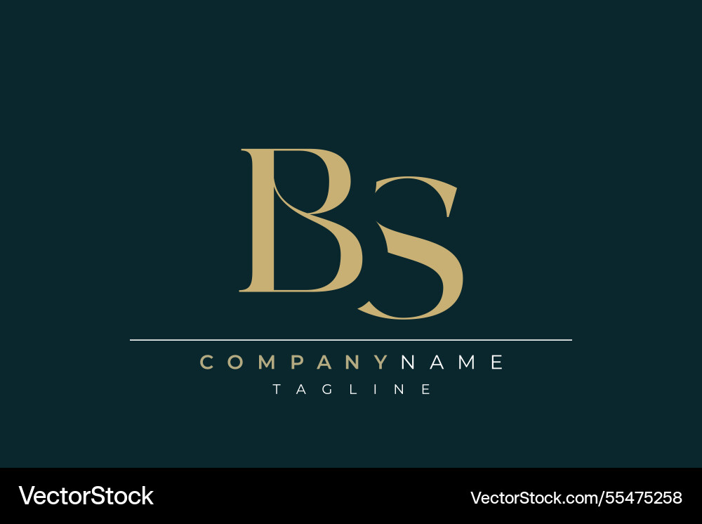 Bs abstract logo design Royalty Free Vector Image