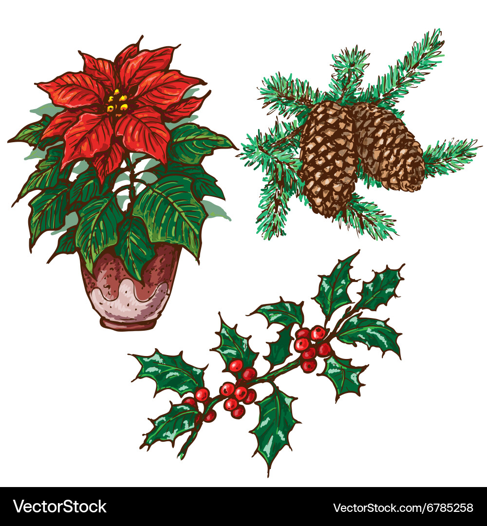 Christmas plants Royalty Free Vector Image - VectorStock
