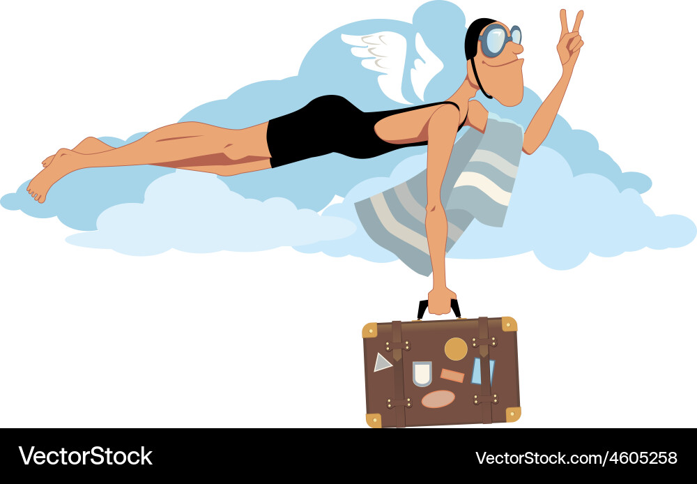 Flying south Royalty Free Vector Image - VectorStock