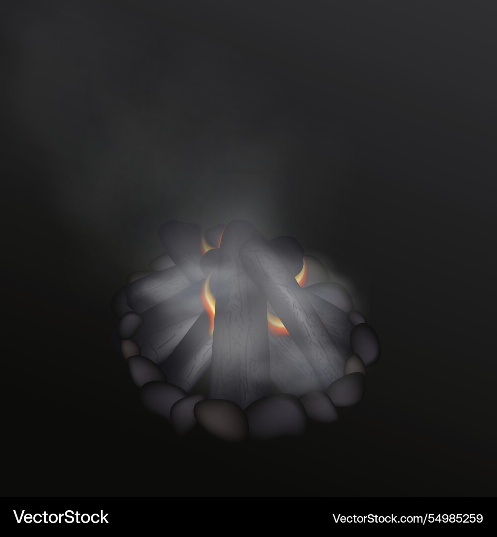 Realistic fire going out Royalty Free Vector Image