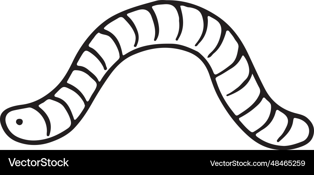 Worm doodle earthworm wild soil animal Royalty Free Vector