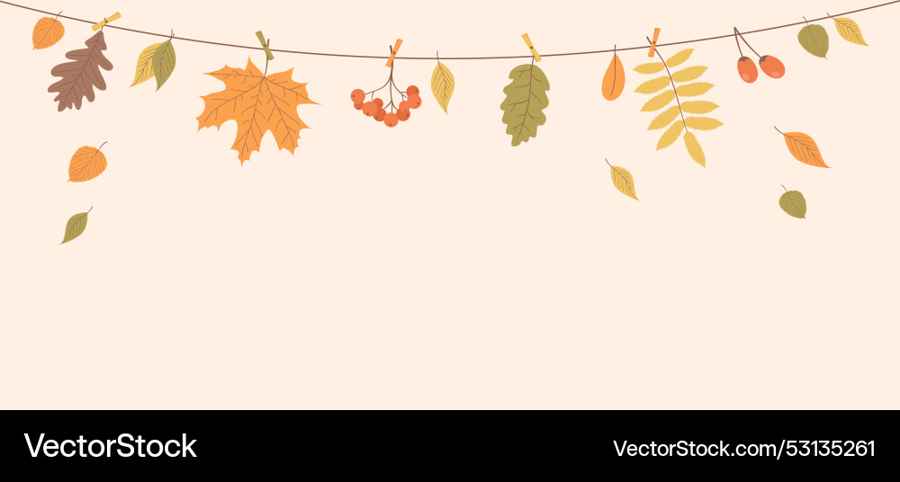 Autumn leaves and berries hanging on a string Vector Image