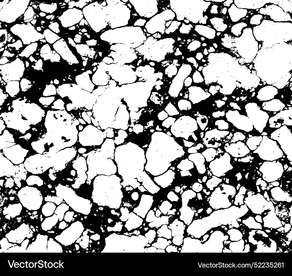 Schwarze und weiße Marmorstein Textur Lizenzfreier Vektor