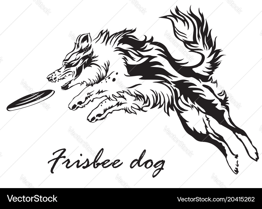 Frisbee dog Royalty Free Vector Image - VectorStock