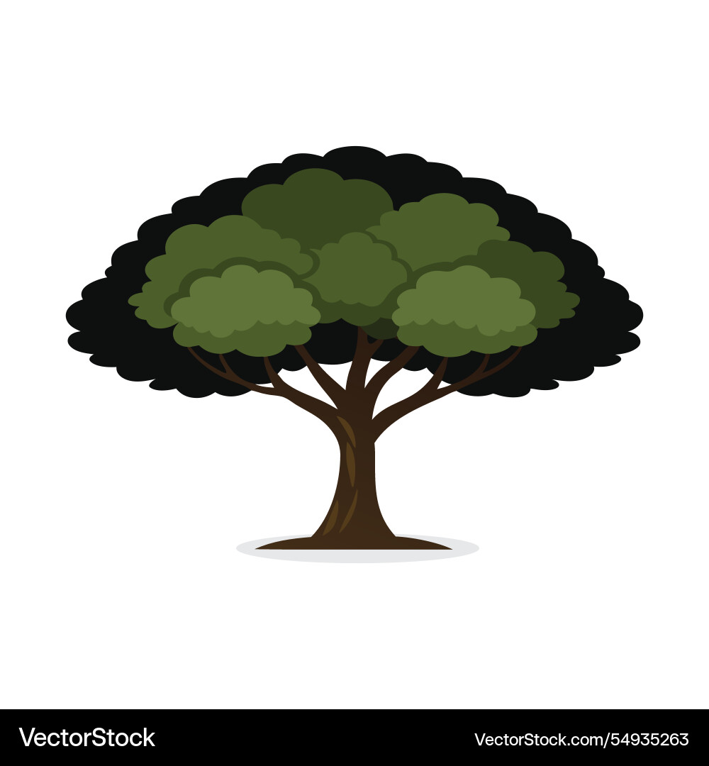 Black tupelo tree isolated flat on white Vector Image
