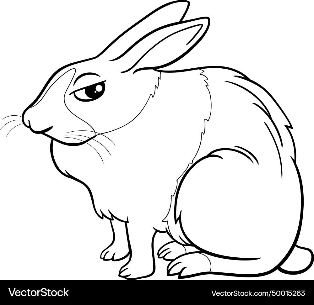 Cartoon sitting miniature rabbit animal coloring Vector Image