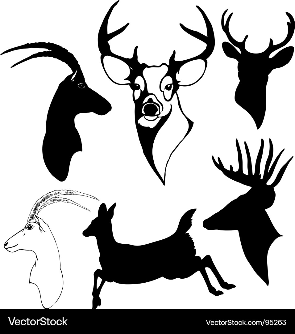 Deer Royalty Free Vector Image - VectorStock