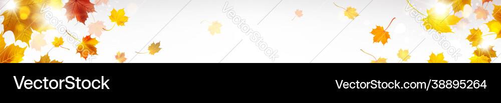 Horizontal banner with autumn leaves Royalty Free Vector