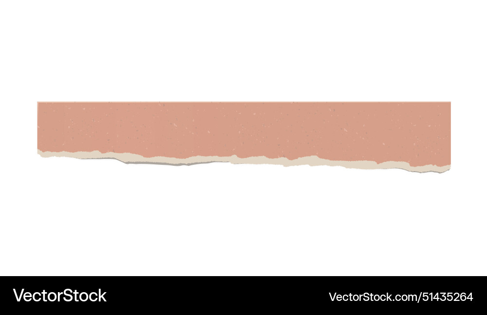 Rectangular torn paper ideal for presentation Vector Image