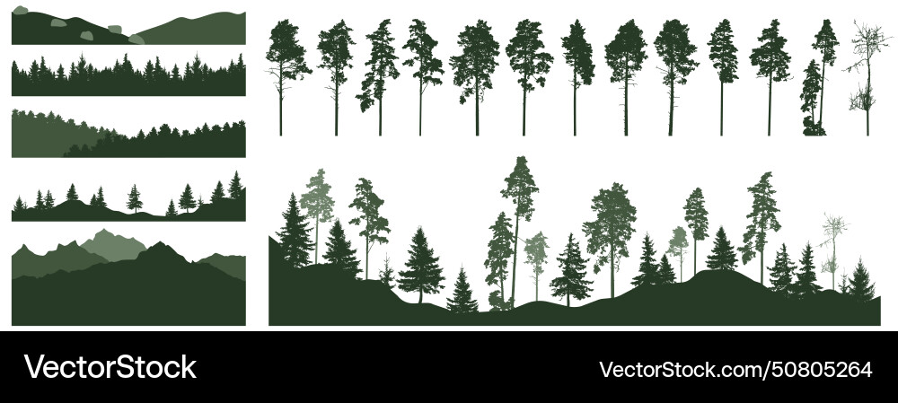 Set of forest element pine trees beautiful Vector Image