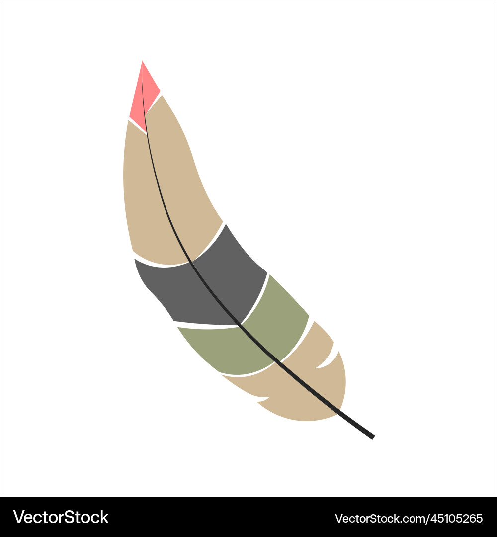 Bohemian Feather Art Royalty Free Vector Image