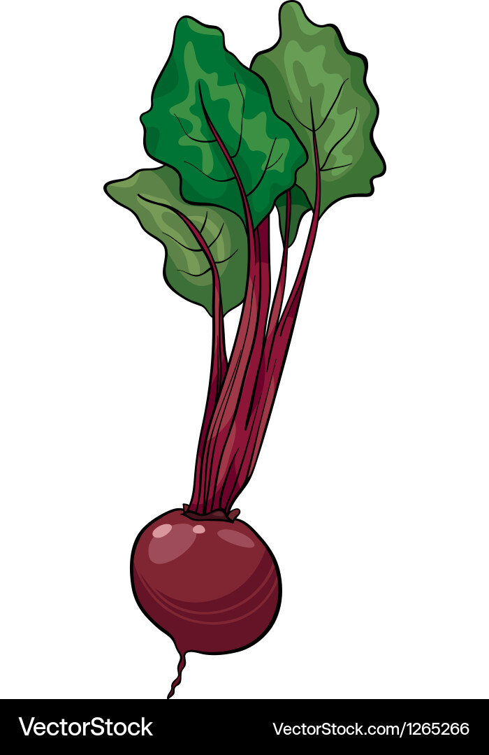Beet vegetable cartoon Royalty Free Vector Image