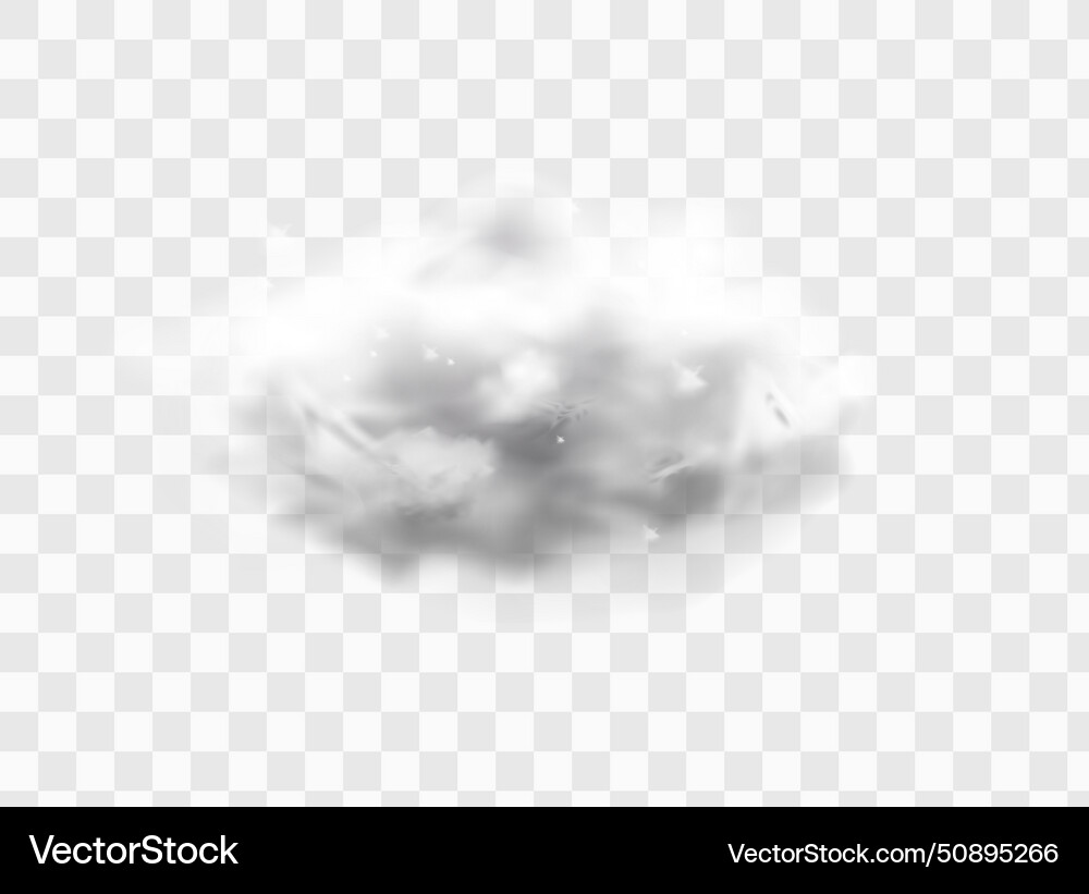 Fog or smoke isolated transparent special effect Vector Image
