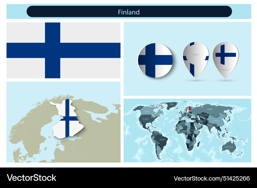 Political infographics made from maps and flags Vector Image