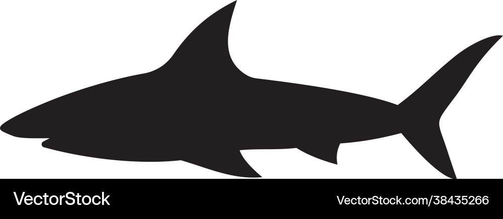 Shark Royalty Free Vector Image - VectorStock