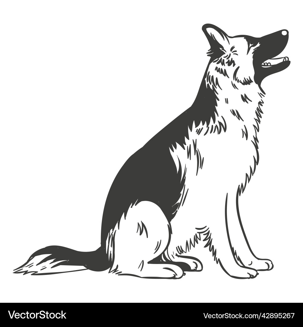 German Shepherd Dog Sitting Royalty Free Vector Image