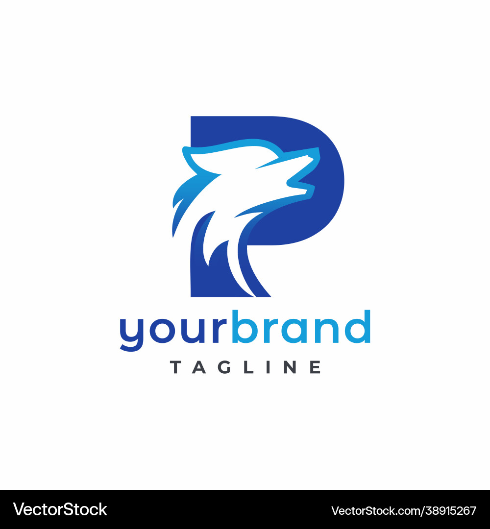 Richard Wolf Logo Services CUREMeD