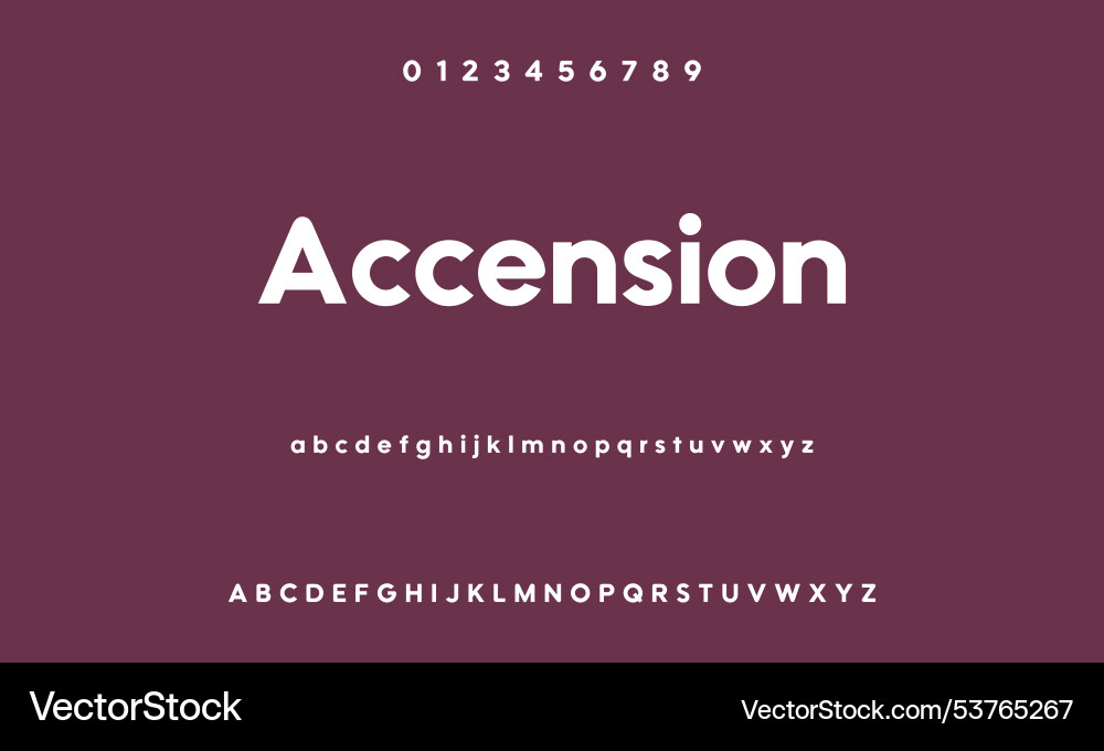 Modern bold font sans serif regular italic Vector Image