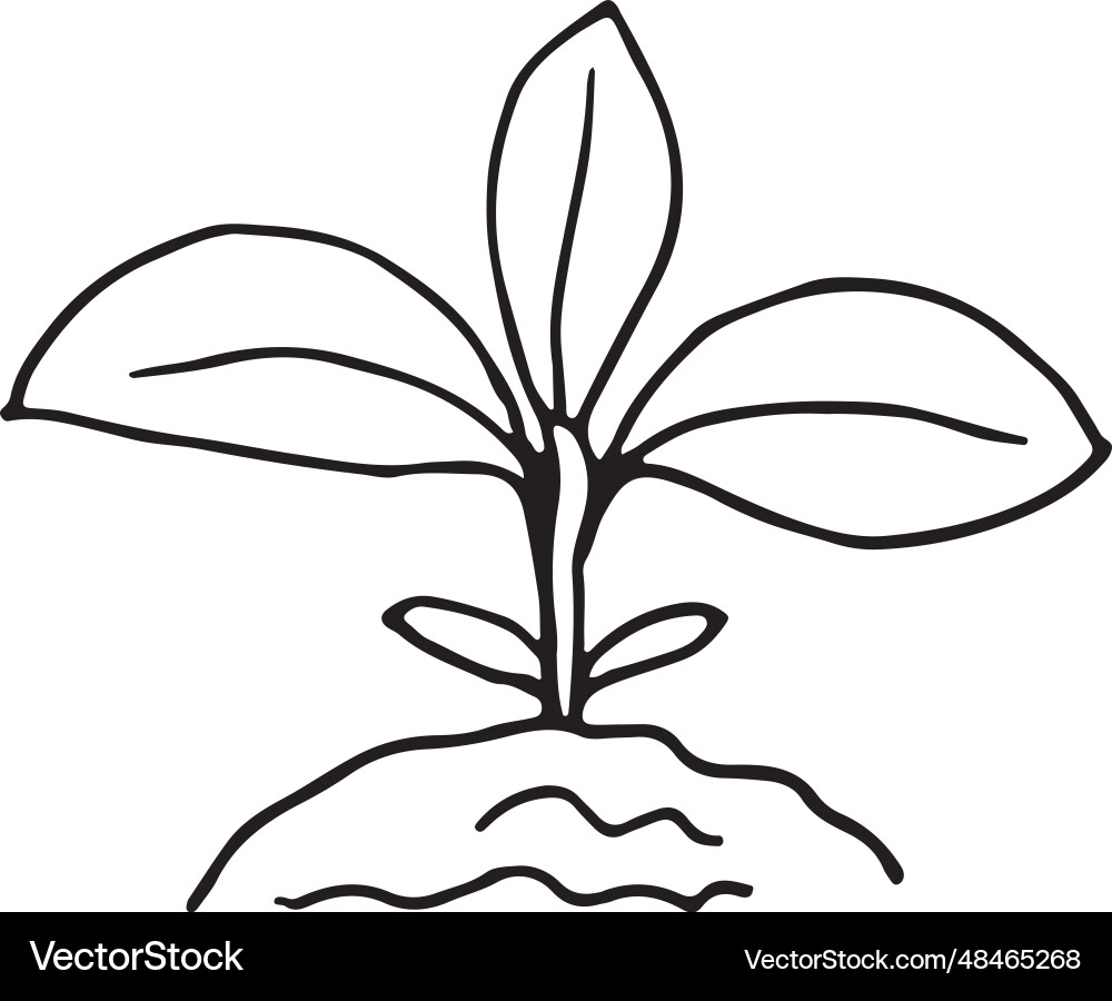Seedling growing icon hand drawn nature Royalty Free Vector