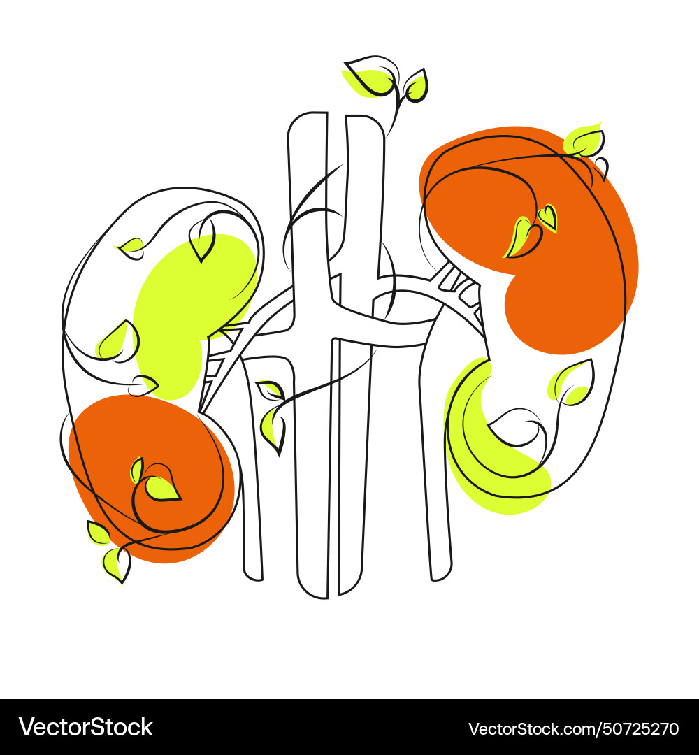 Human kidney with botany elements Royalty Free Vector Image