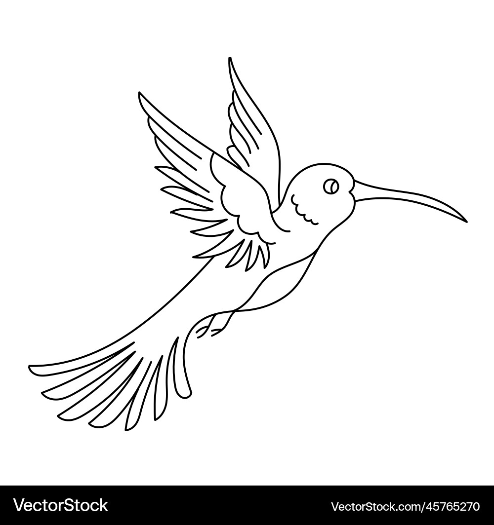 Hummingbird bird editable outline stroke Vector Image