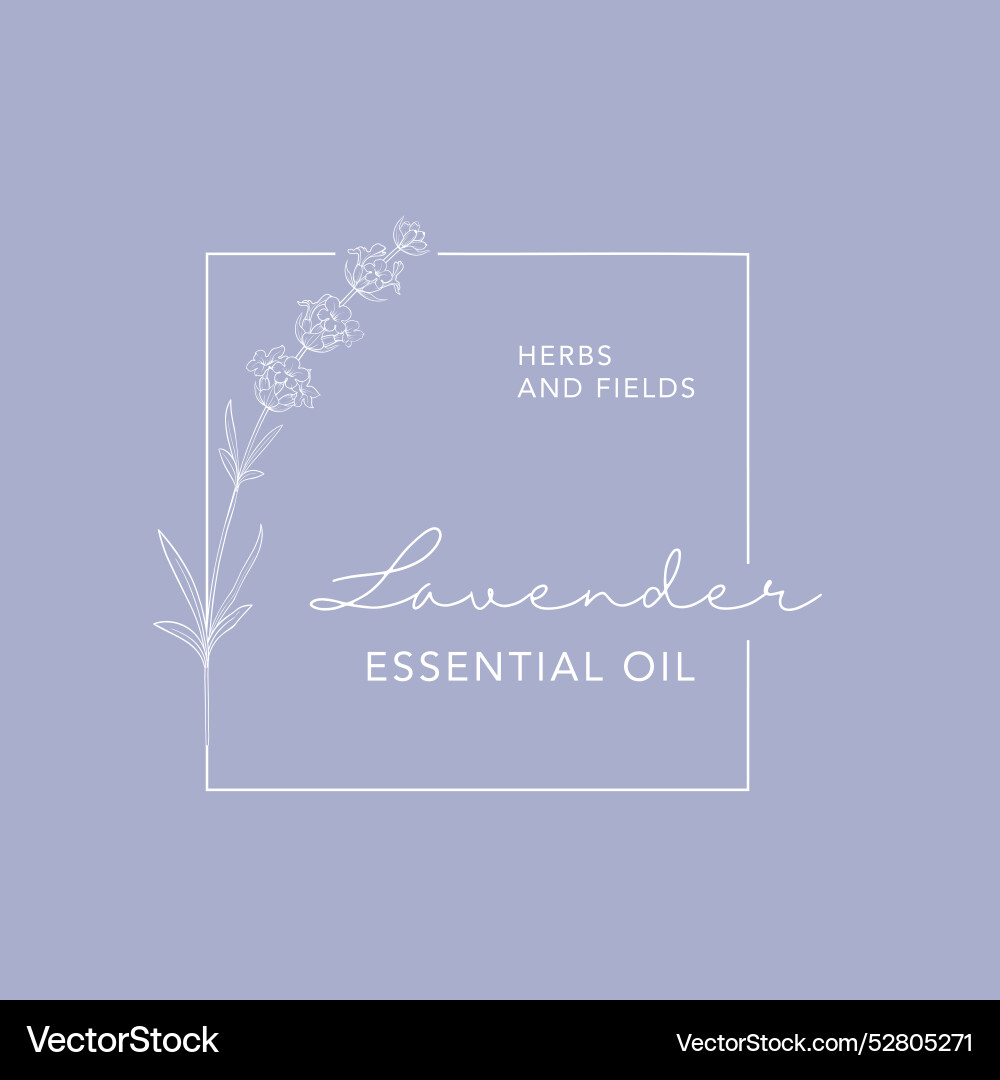 Lavender flower logo floral design label Vector Image