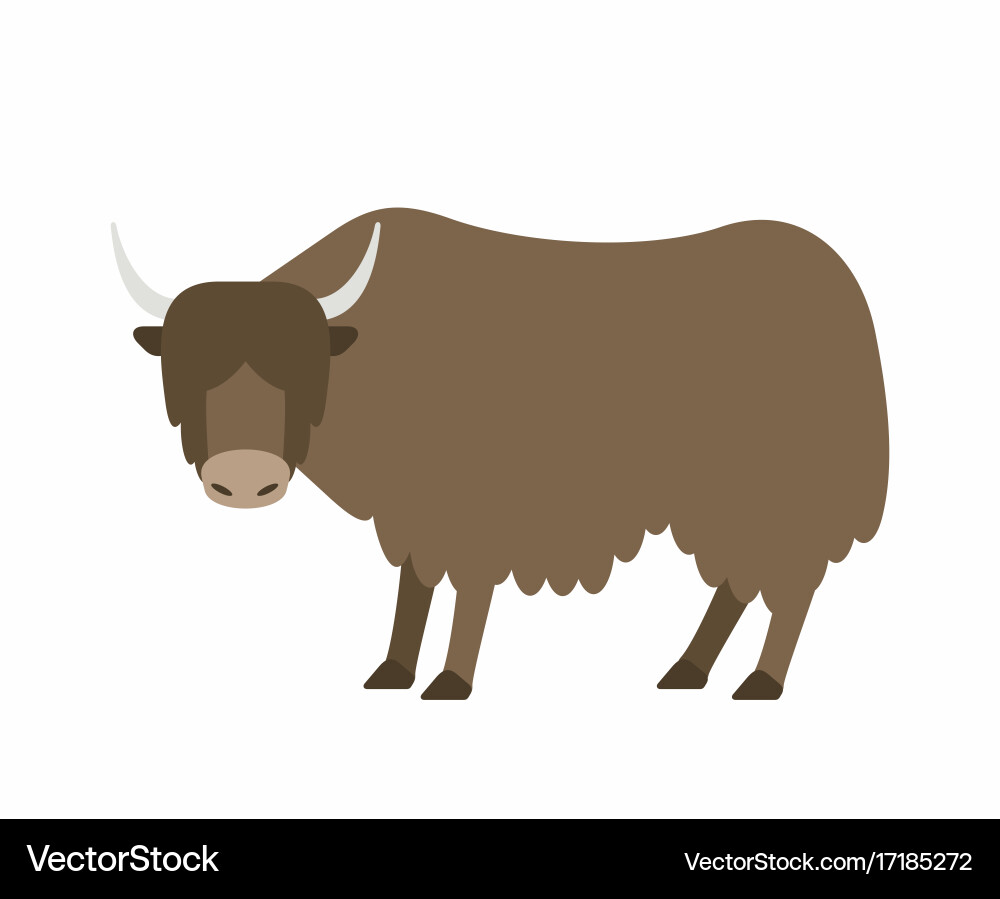 Buffalo Royalty Free Vector Image - VectorStock