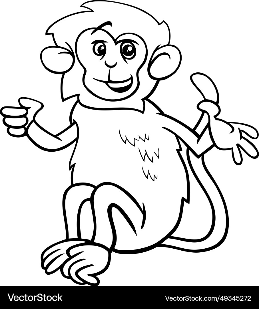 Cute Vervet Monkey Coloring Page Royalty Free Vector Image