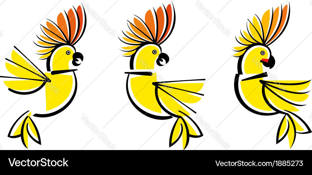 Cockatoo Royalty Free Vector Image - VectorStock