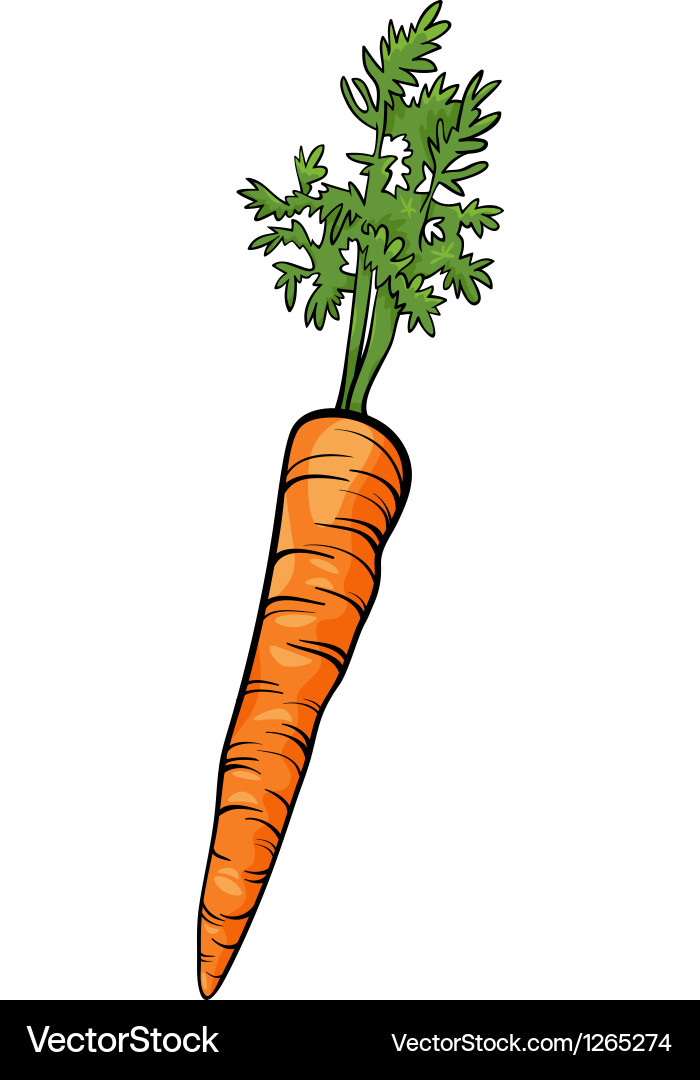 Carrot root vegetable cartoon Royalty Free Vector Image