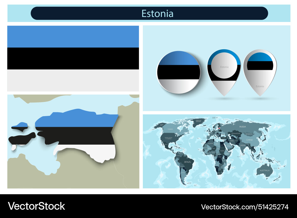 Political infographics made from maps and flags Vector Image